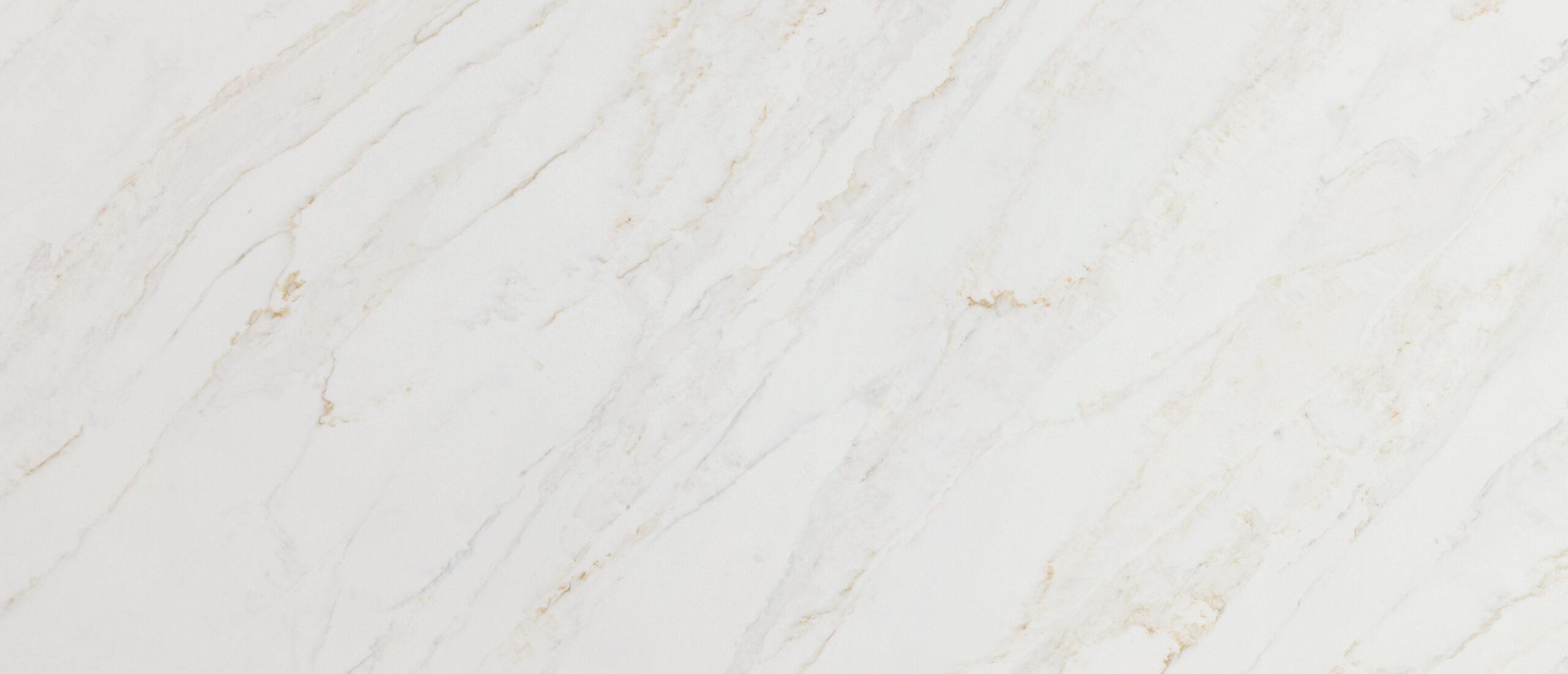 Calacatta Premata by MSI - Premier Granite & Stone